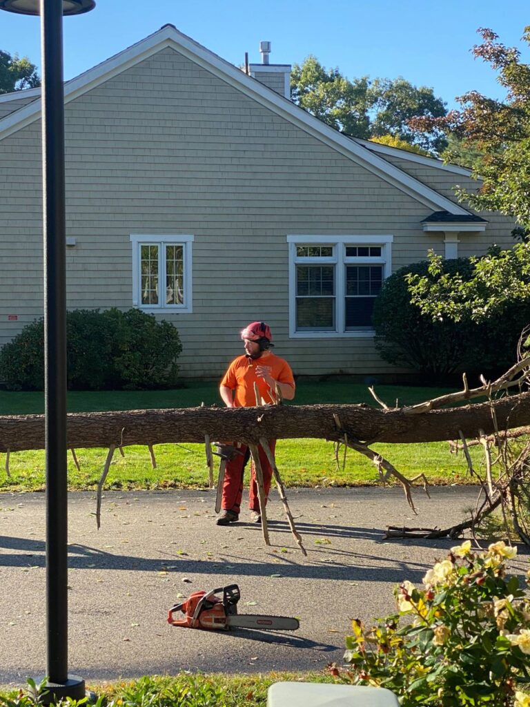 Careers With Top Notch Tree | The South Shore’s Premier Tree Service